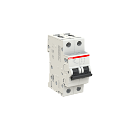 S202-D6 Miniature Circuit Breaker - 2P - D - 6 A